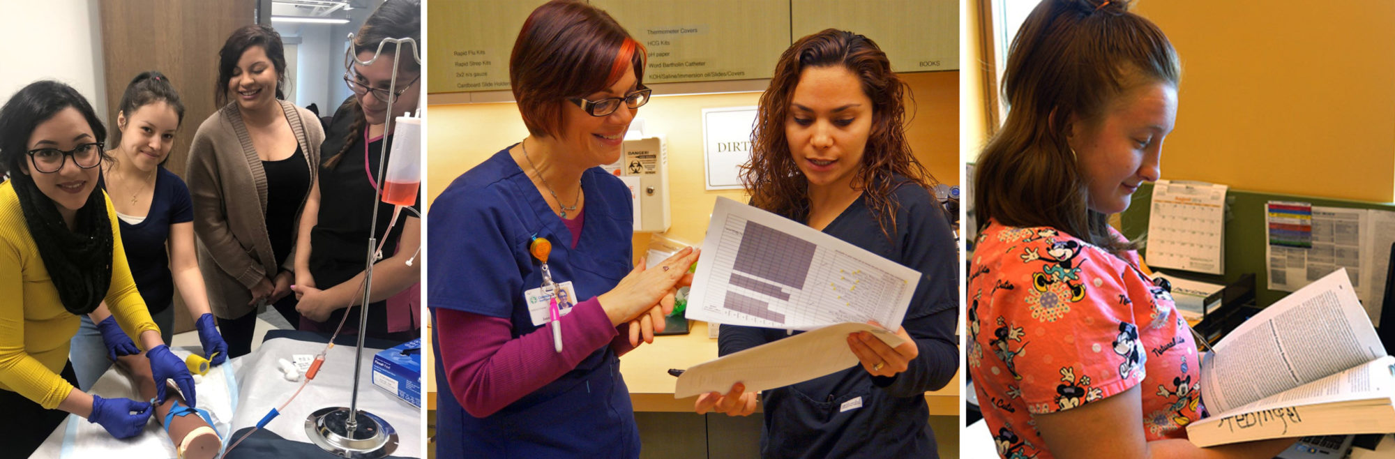 Externship Organizations - NIMAA